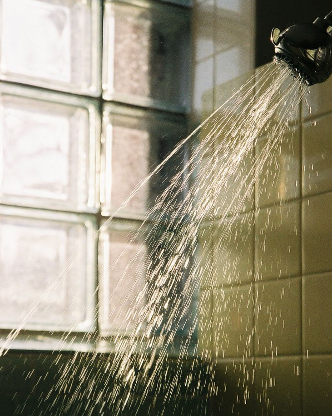 Gratitude and Productivity Blog by Intelligent Change