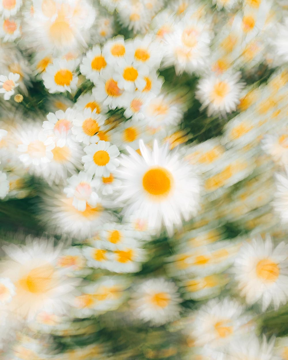 5 Project Ideas for Your Productive Summer – Intelligent Change