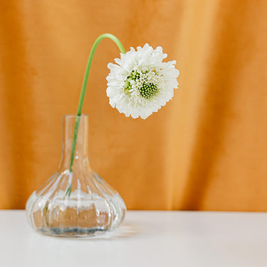 The Benefits of Positive Language – Intelligent Change