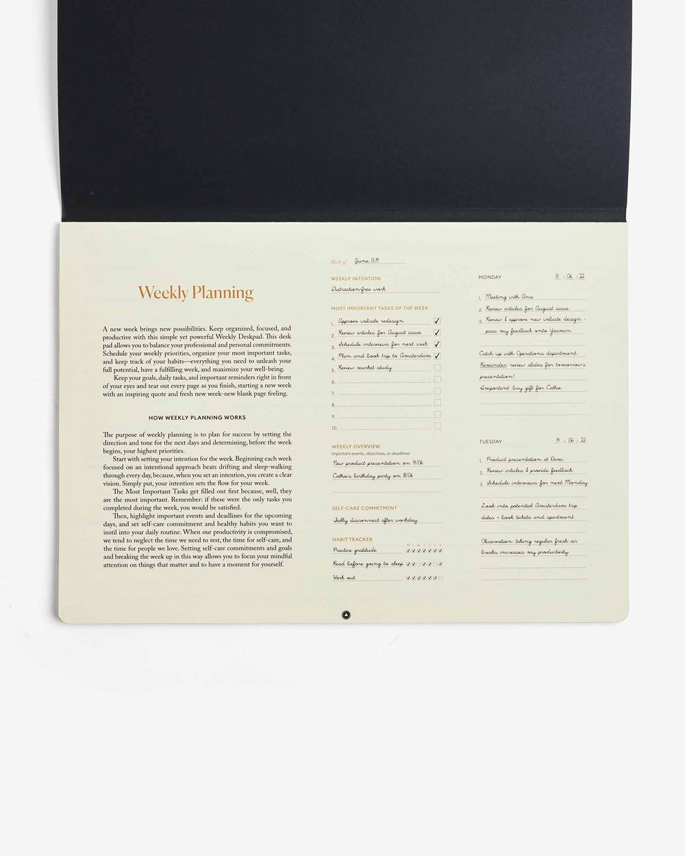 Productivity Weekly Desk Pad | Intelligent Change